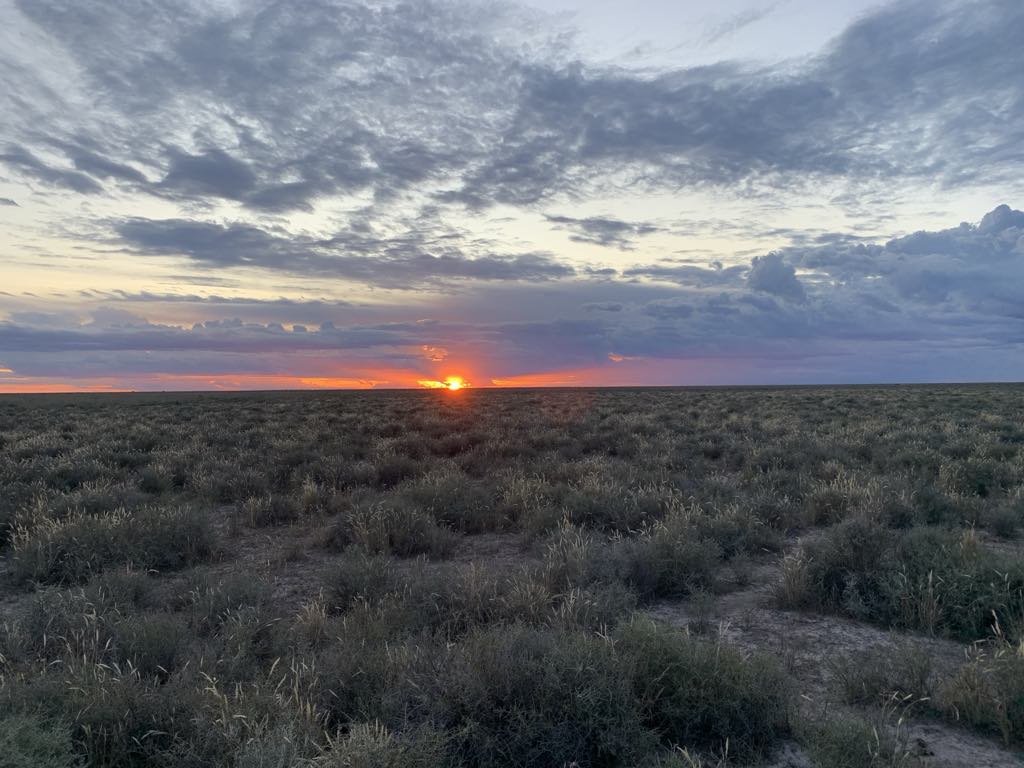 2024 – A Natural Selection – Eclectic Antics